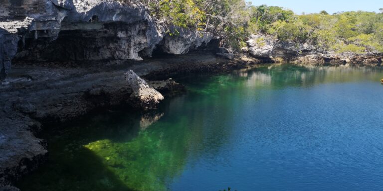 Hoffman's/ White/Saddleback Cays - INVIA