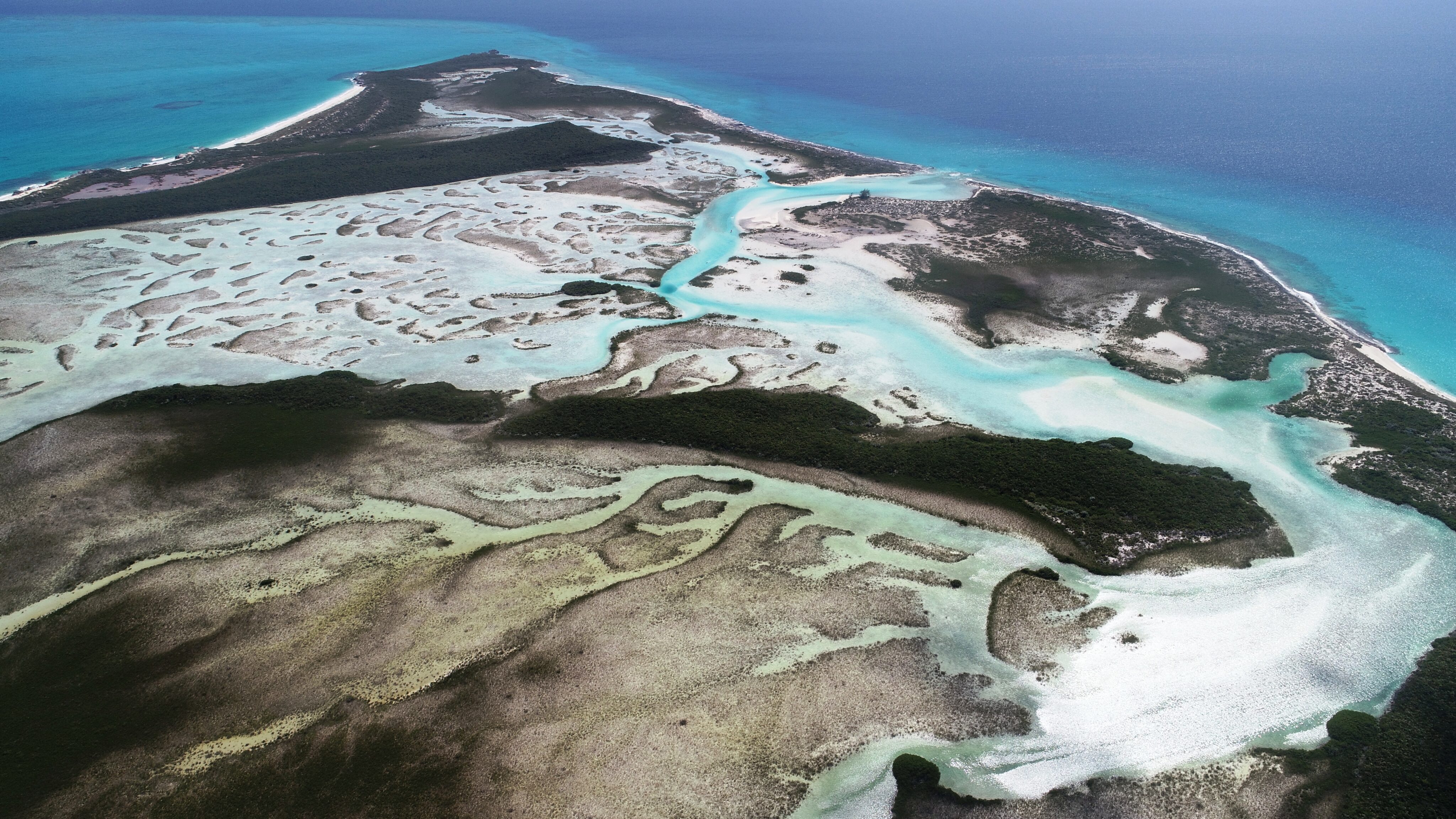 Conception Island - INVIA